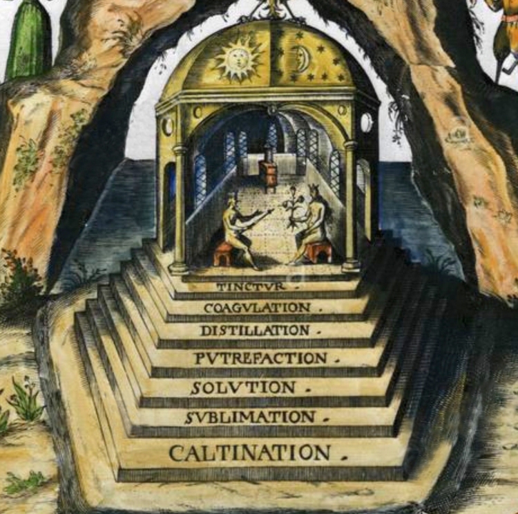 The Seven stages of alchemy – Salt & Fern